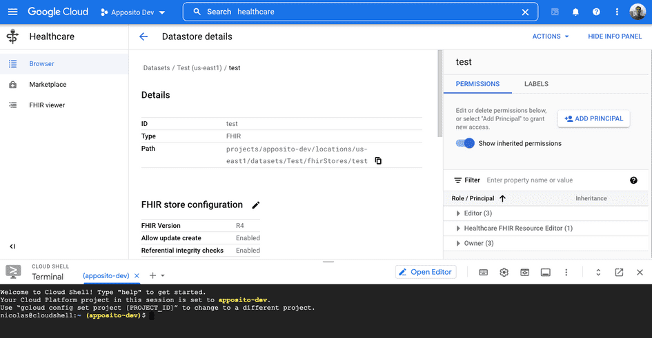 ¿Cómo montar un servidor FHIR en Google Cloud? | El Blog de Nessy